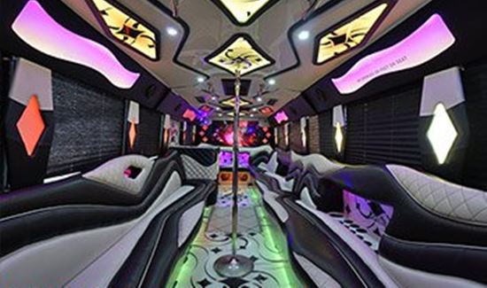 Bachelor Party Bus & Stripper Services | Bad Girl Productions™